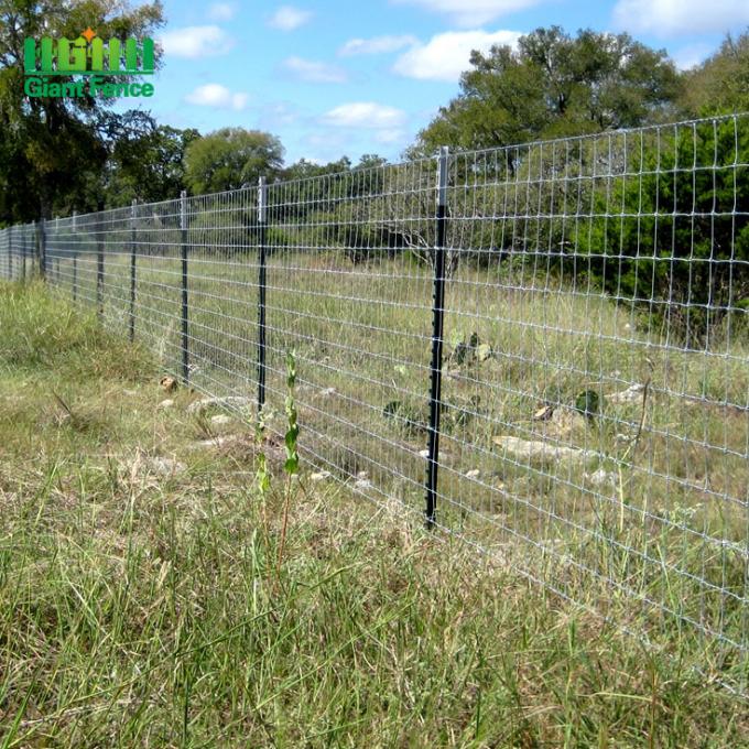 Painted Farm 0.95lb/Ft 800mm Height Steel Fence T Post